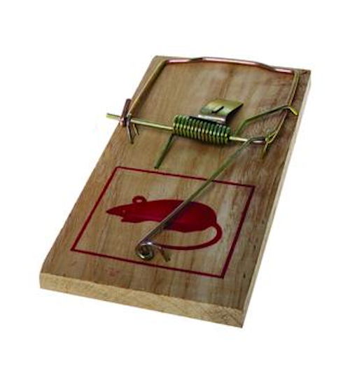 Wooden Mouse Trap