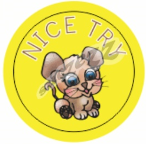 NICE TRY (60 STICKERS)